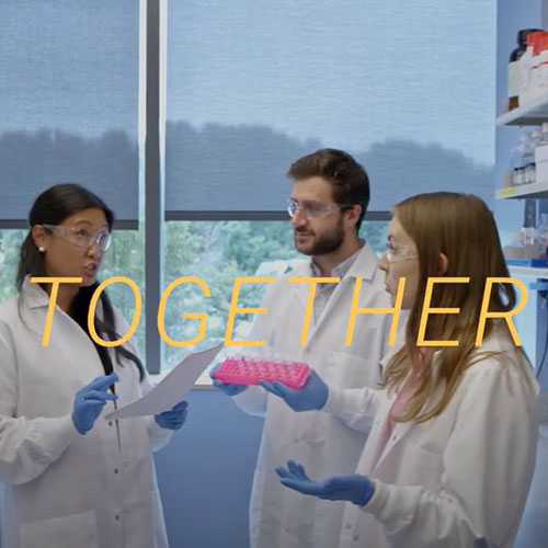 Our Teams - Building great things. Together. | Regeneron Careers